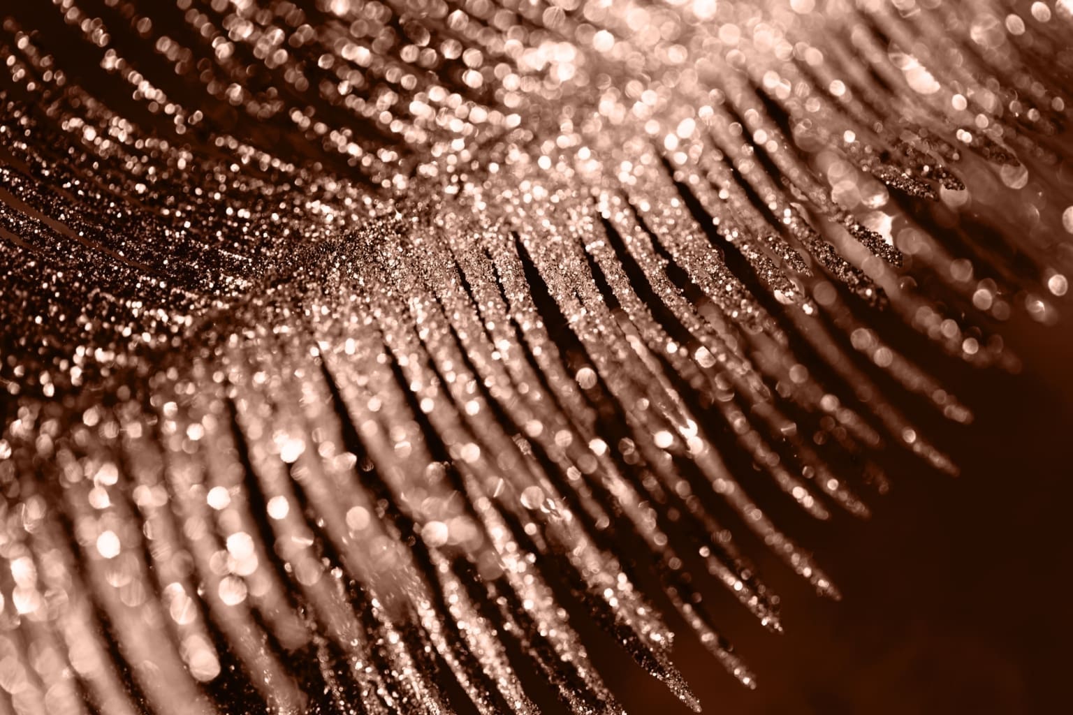 Mocha Mousse: kolor roku 2025 według Pantone